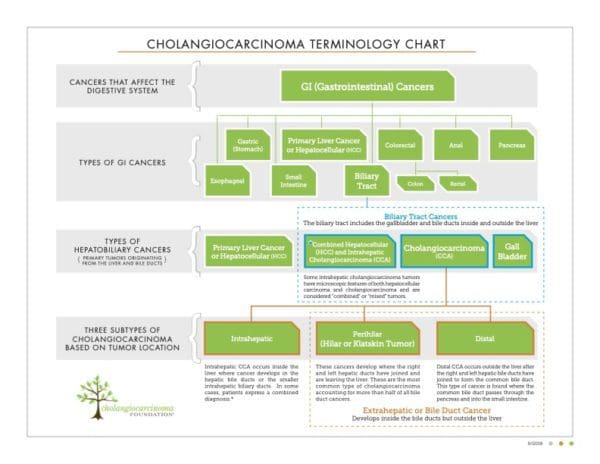 Treatment Options - Cholangiocarcinoma Australia